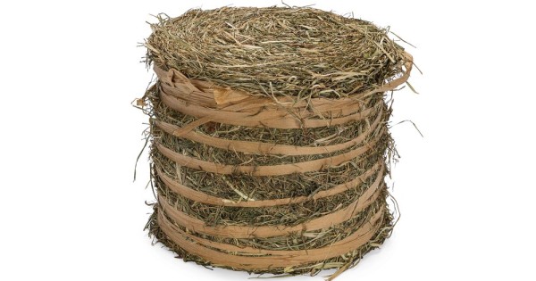 Hooibaal knaagdier 1kg - Snacks voor knaagdieren bij CAVWinkel.nl