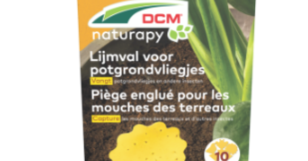 Lijmval voor potgrondvliegjes 10st